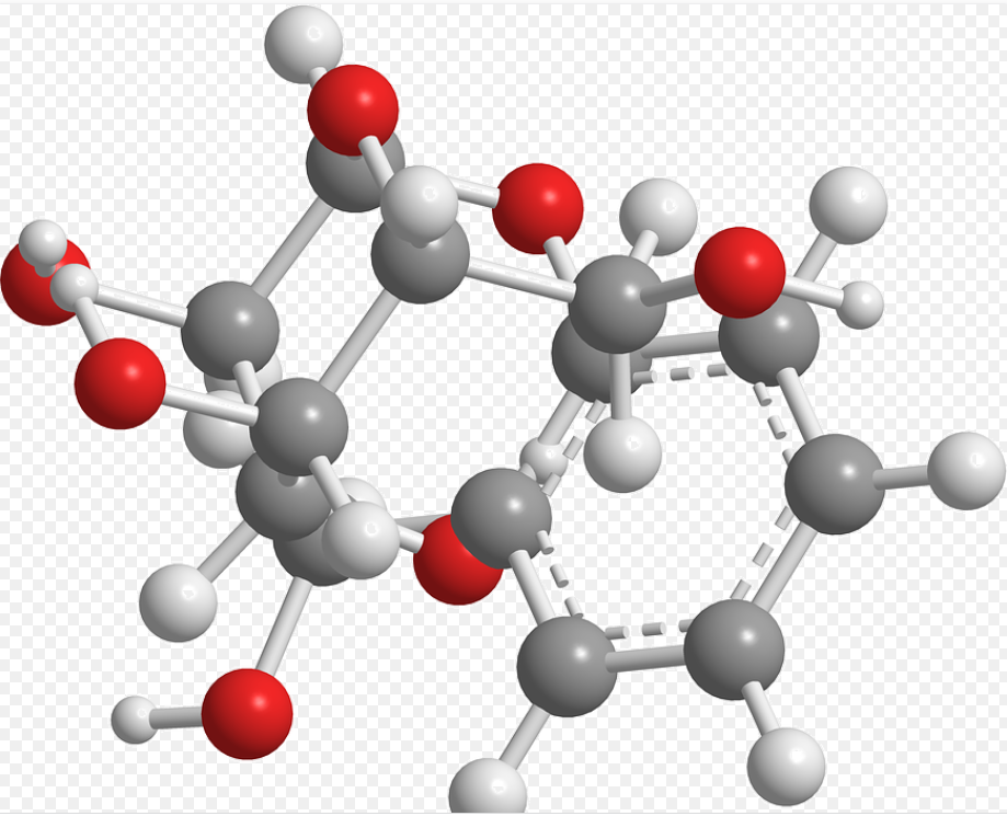 Platforma educațională Moodle.CEMF